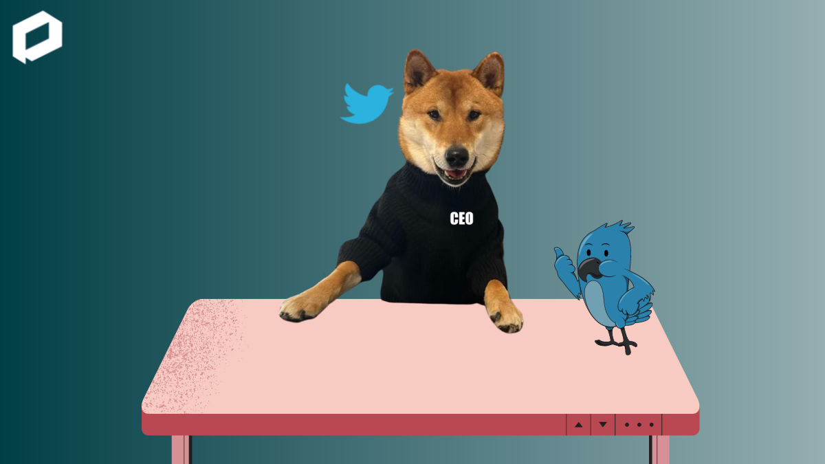 Harga FLOKI dan DOGE Pumping Setelah Tweet “CEO Baru Twitter ...