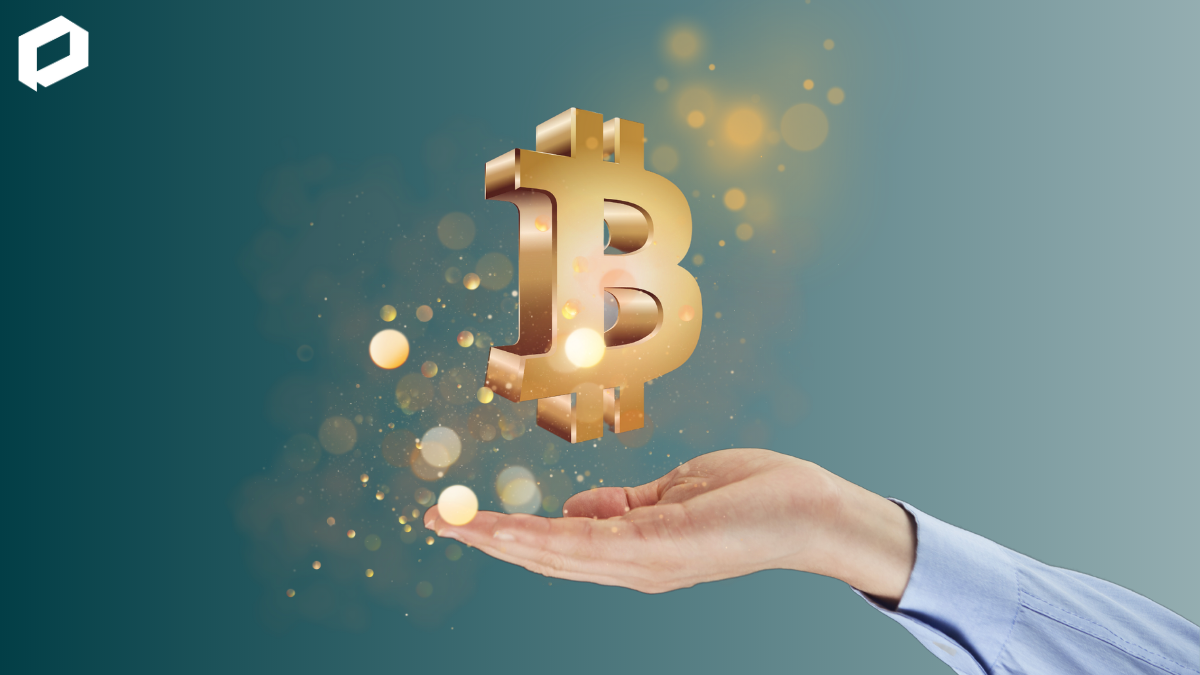 Bitcoin Pumping, Holder BTC Kantongi Profit Rp4,8 Triliun Per Hari - Portalkripto